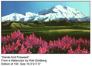 Denali and Fireweed - Catotti and Goldberg Art Studio